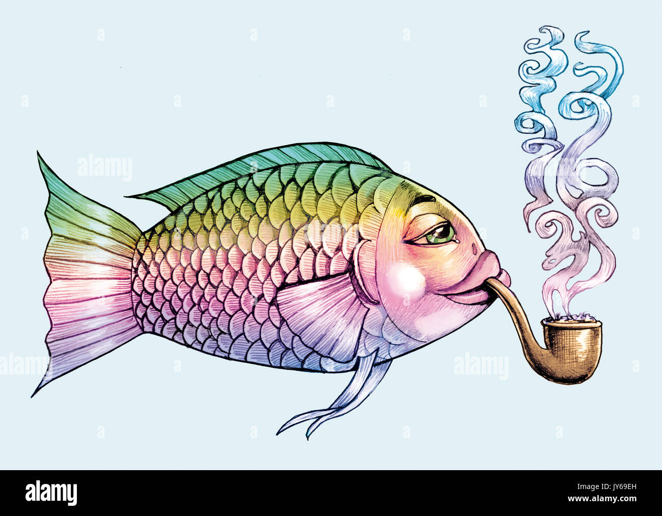 Poisson pipe Banque de photographies et d’images à haute résolution - Alamy