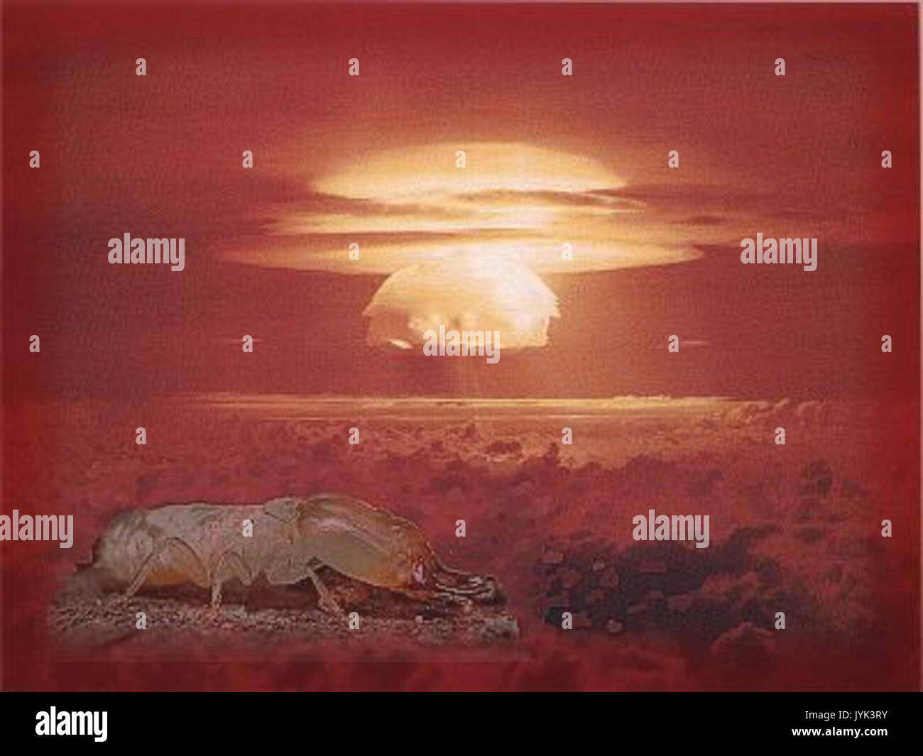 Ac clarke Banque de photographies et d’images à haute résolution - Alamy