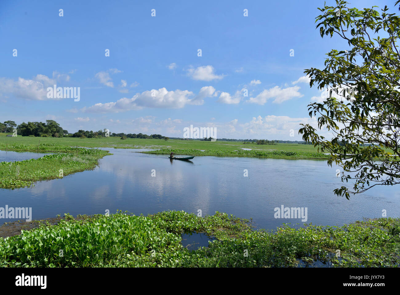 Arial beel Banque de photographies et d’images à haute résolution - Alamy