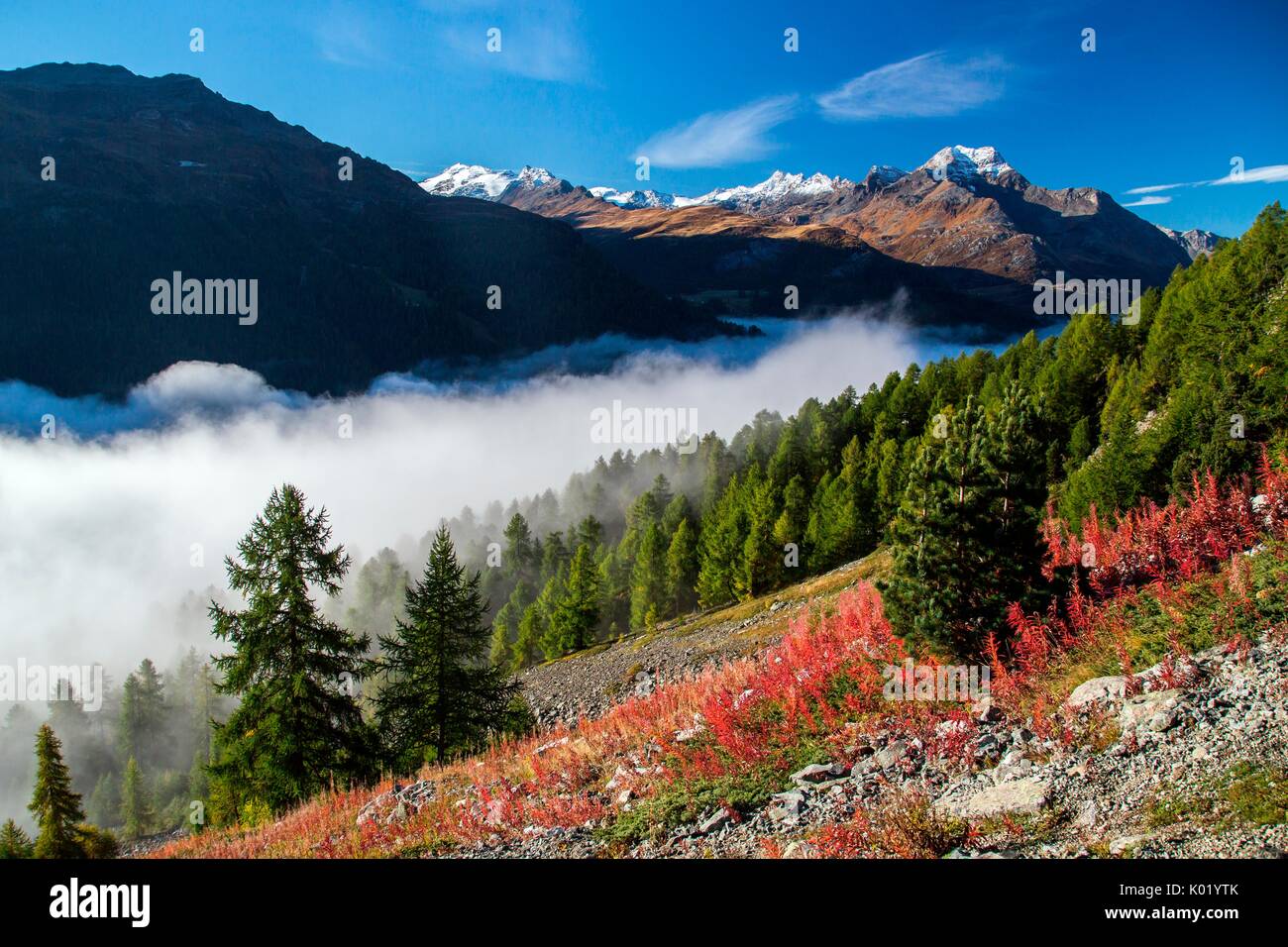 Paysages de montagne suisses Banque de photographies et d’images à ...