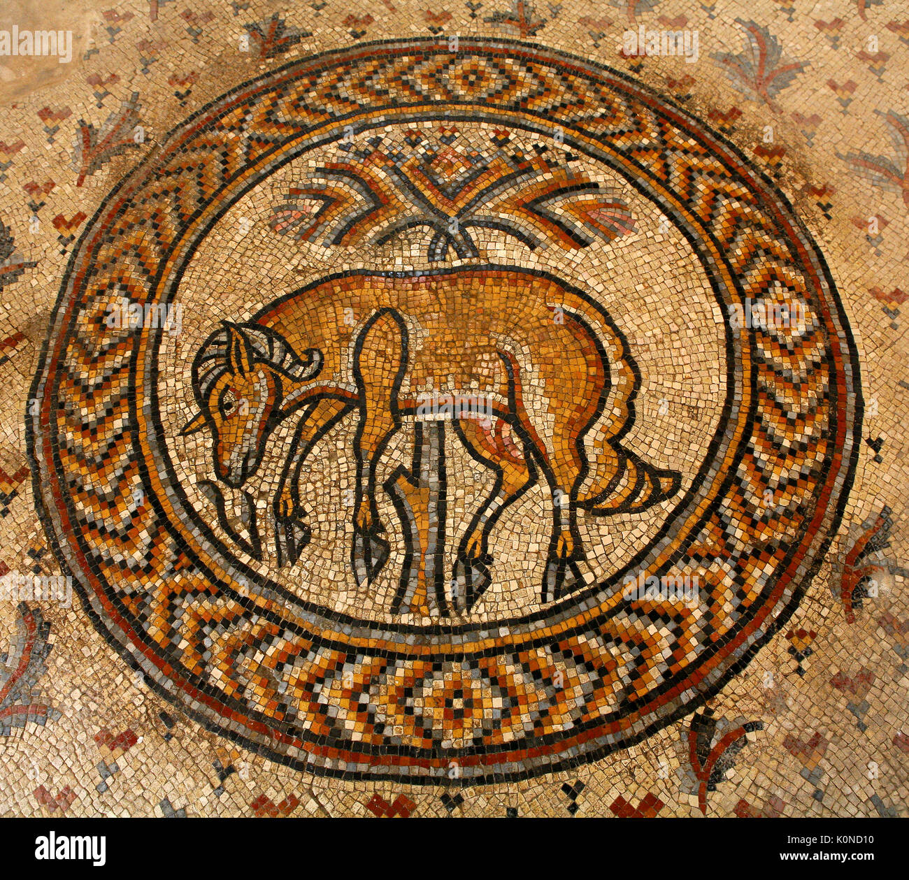 Madaba mosaics jordan Banque de photographies et d’images à haute ...