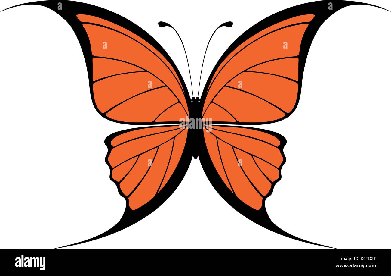 Butterfly design Banque d'images vectorielles - Alamy