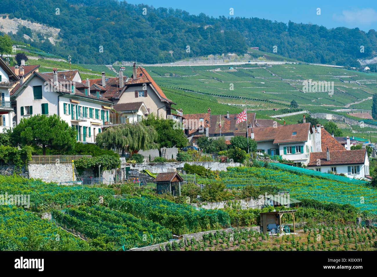 Riex suisse Banque de photographies et d’images à haute résolution - Alamy