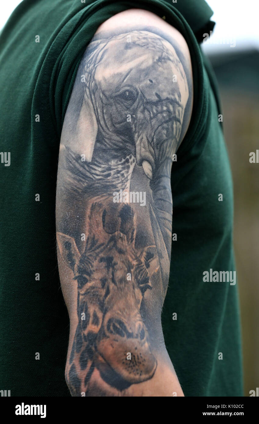 Blair drummond safari park keeper graeme alexander Banque de ...