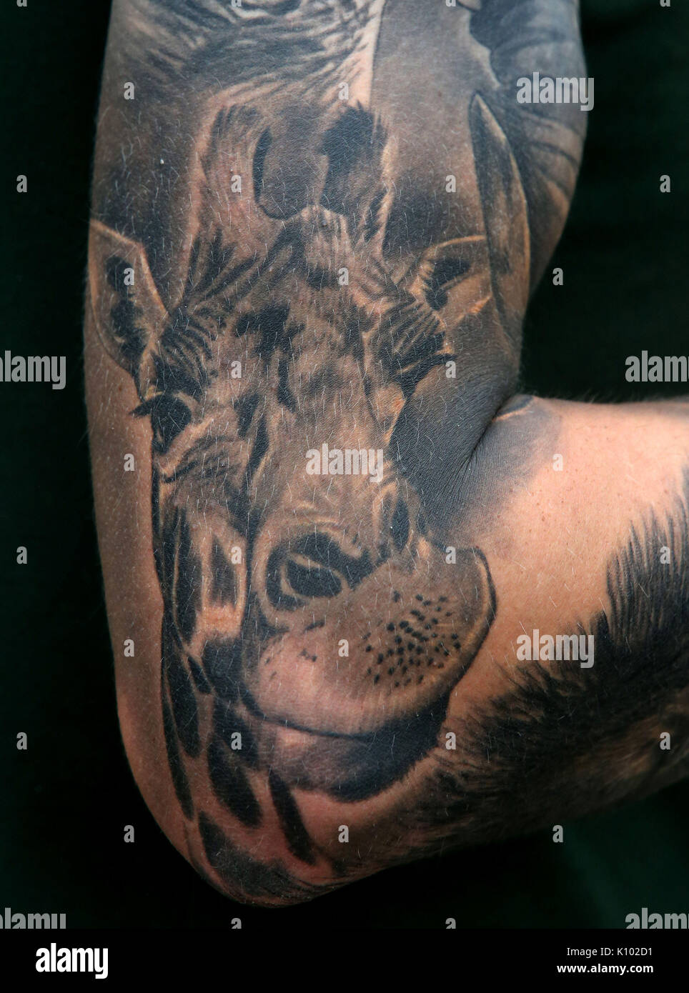 Blair drummond safari park keeper graeme alexander Banque de ...