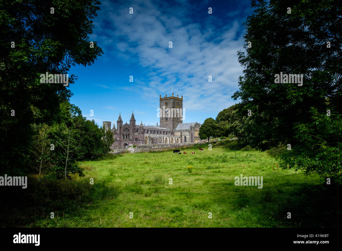 Drapeau de saint david Banque de photographies et d’images à haute ...