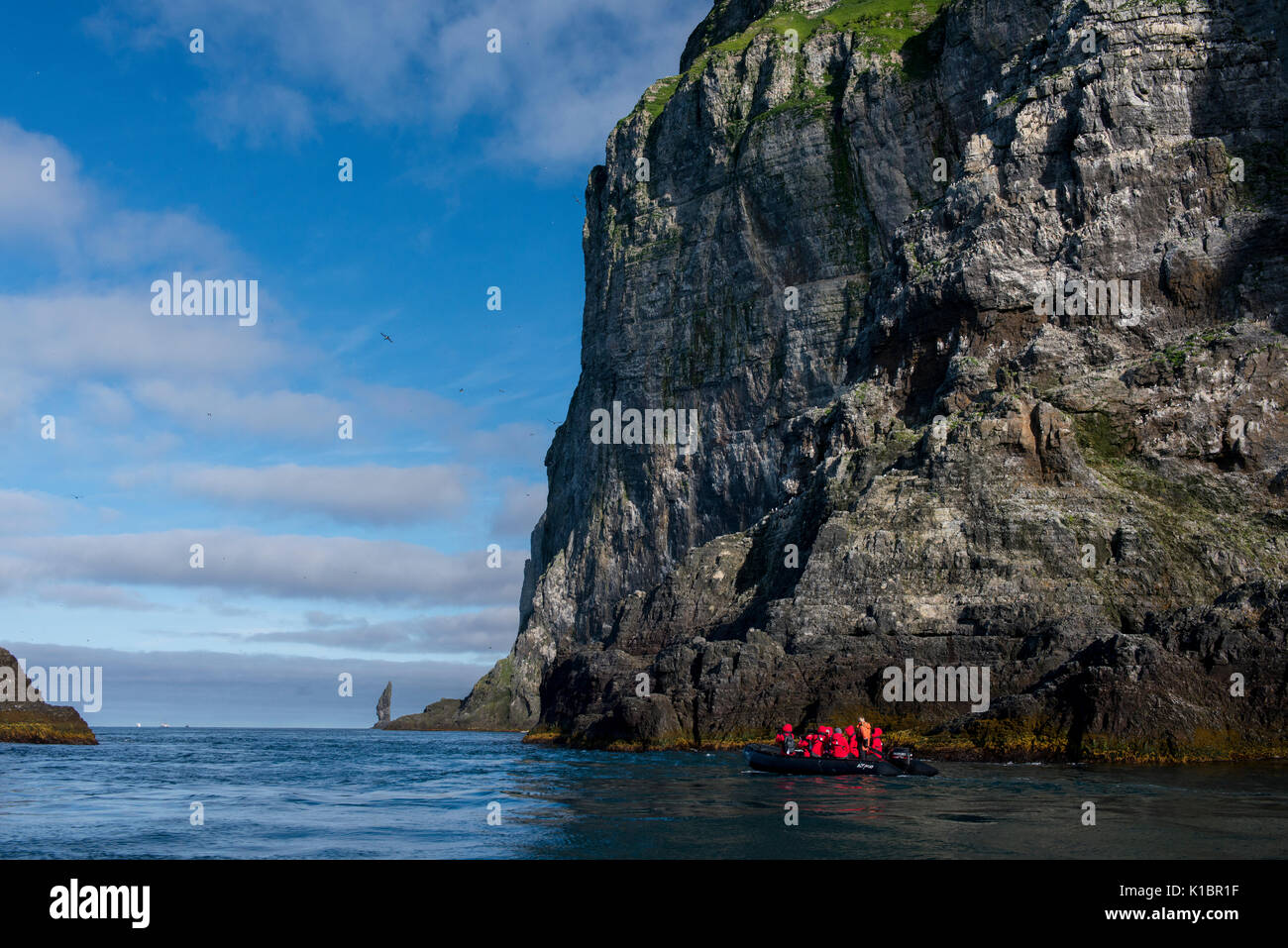 La Norvège, mer de Barents, Svalbard. Bear Island Nature Reserve aka ...