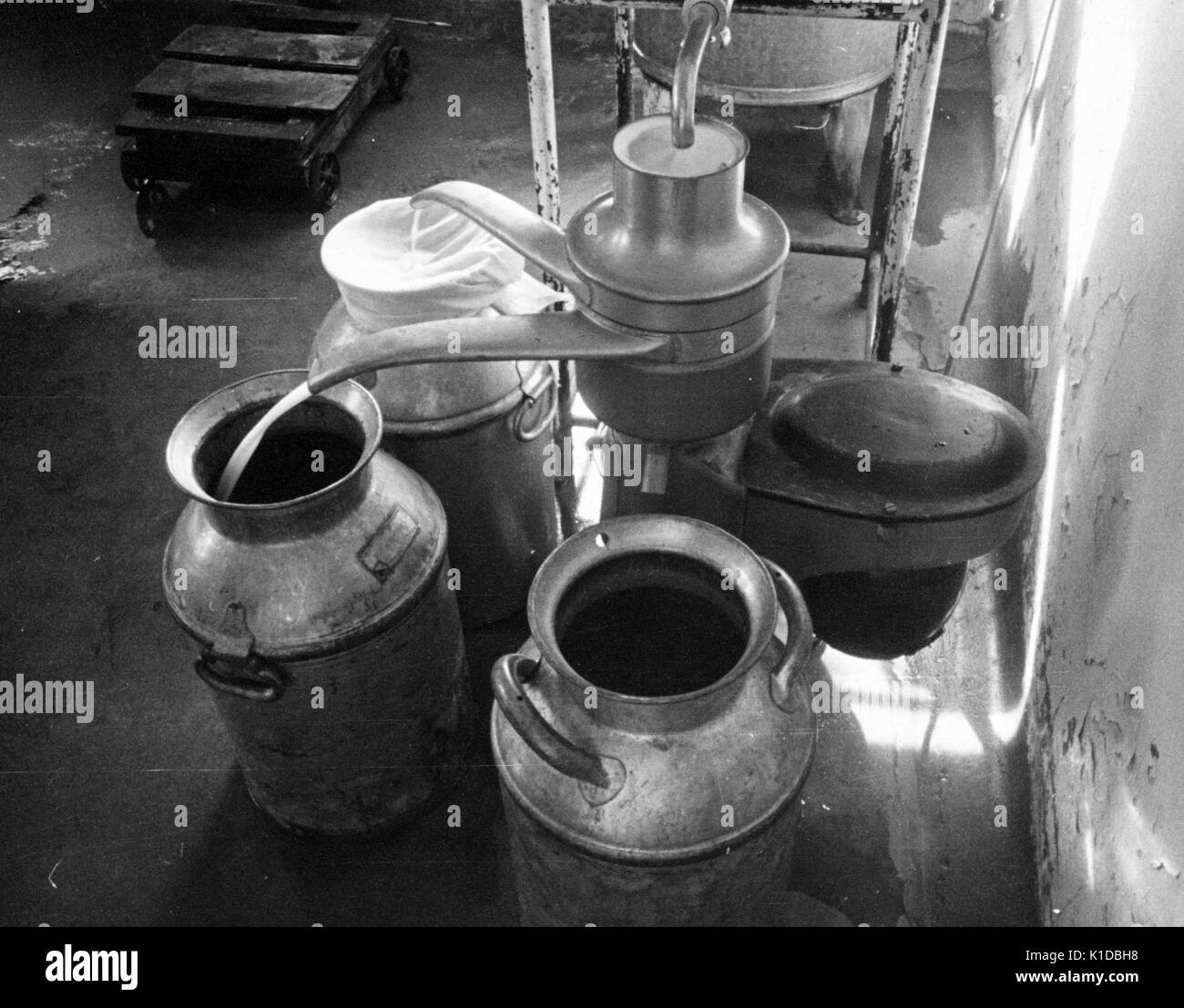 Crème de lait Banque d'images noir et blanc - Alamy