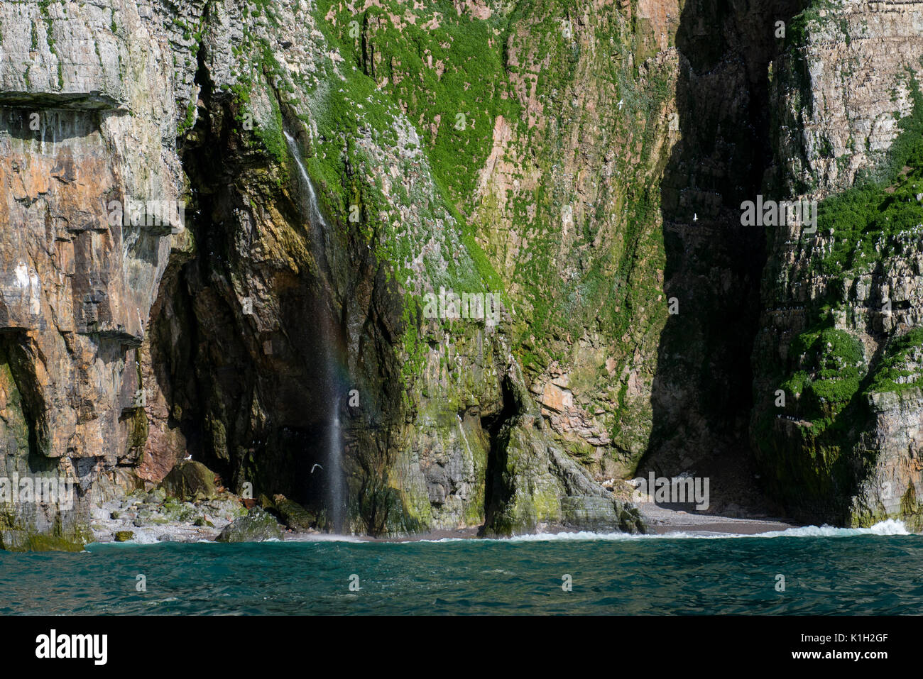 La Norvège, mer de Barents, Svalbard. Bear Island Nature Reserve aka ...