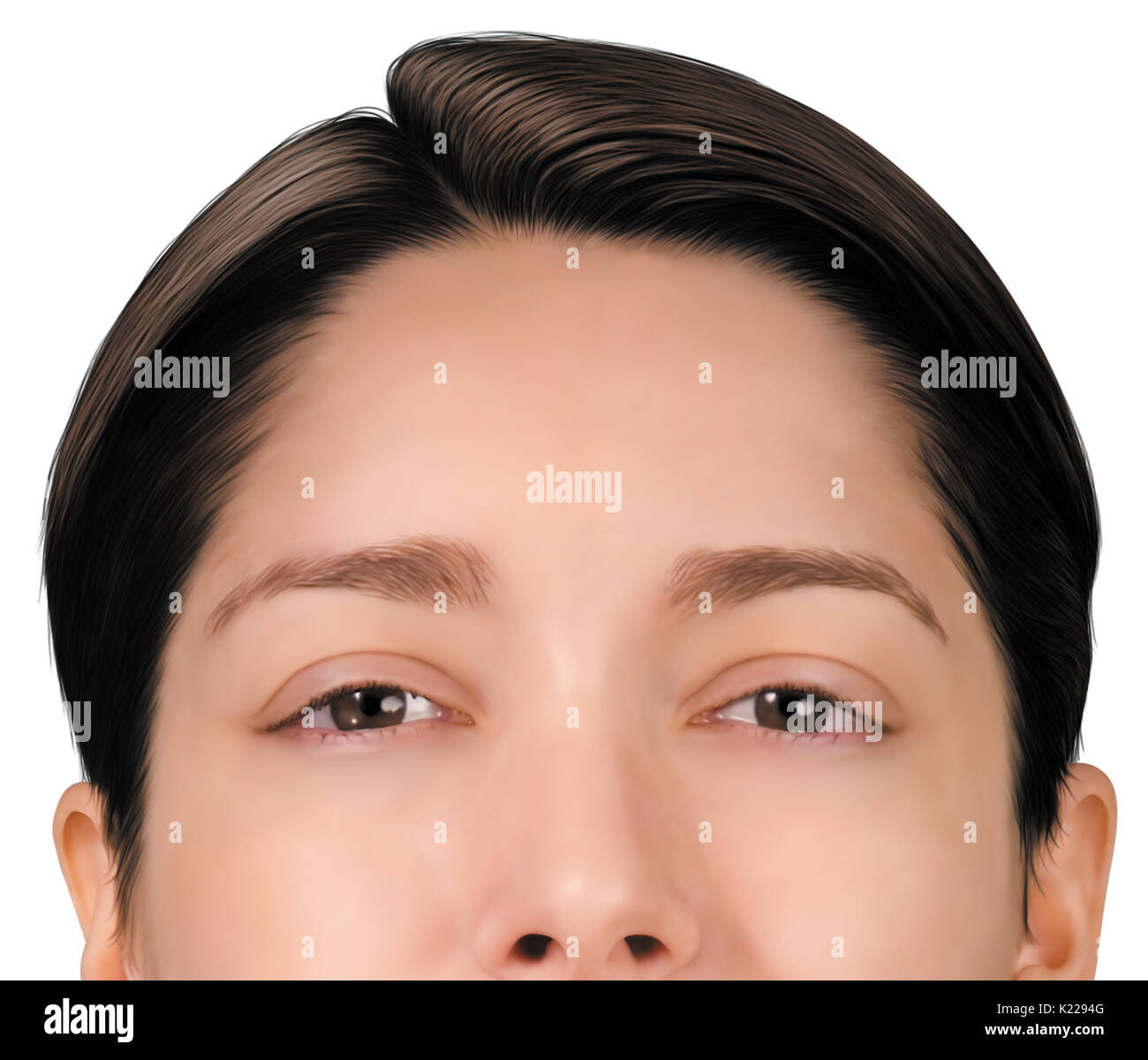 Anatomie du visage humain Banque de photographies et d’images à haute ...