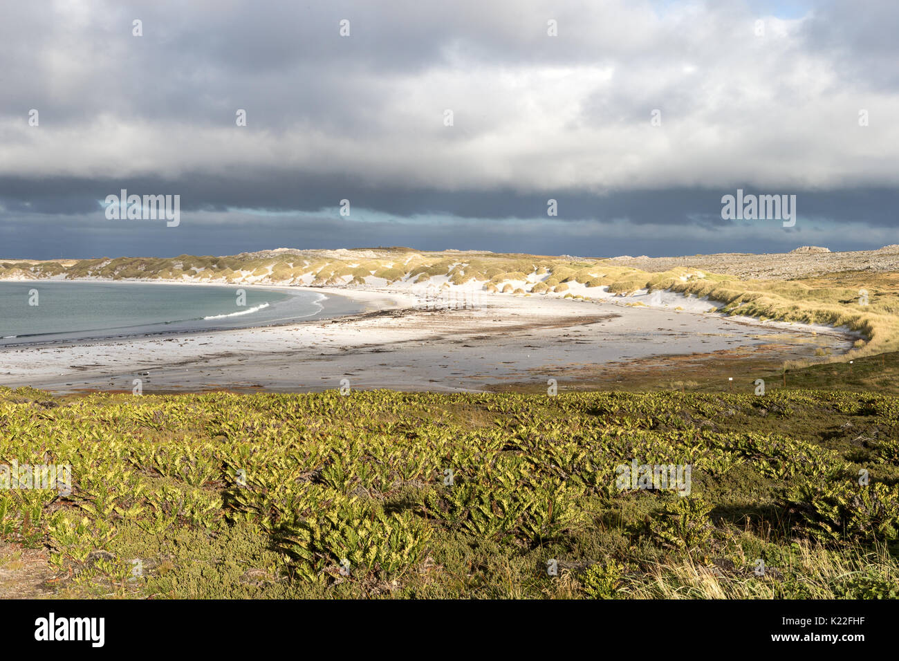 Gypsy cove Banque de photographies et d’images à haute résolution - Alamy