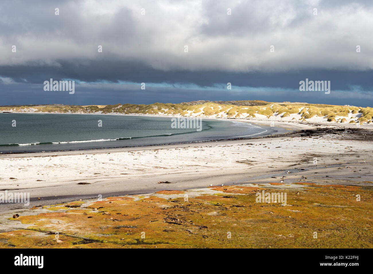 Gypsy cove Banque de photographies et d’images à haute résolution - Alamy