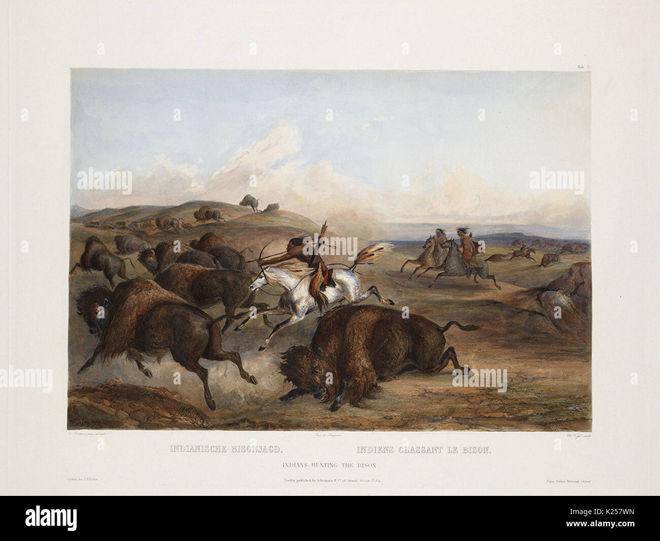 Indians hunting the bison Banque de photographies et d’images à haute ...