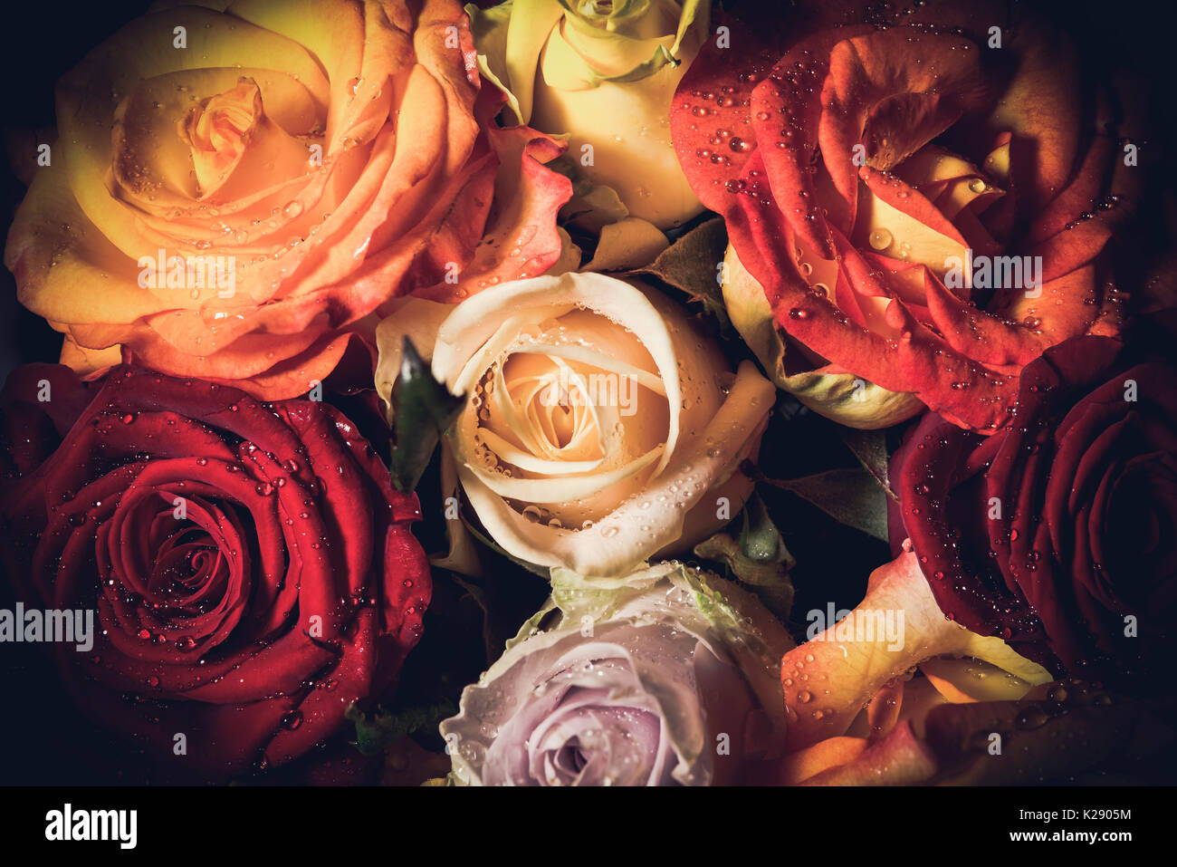 Bouquet de roses de la saint valentin Banque de photographies et d ...