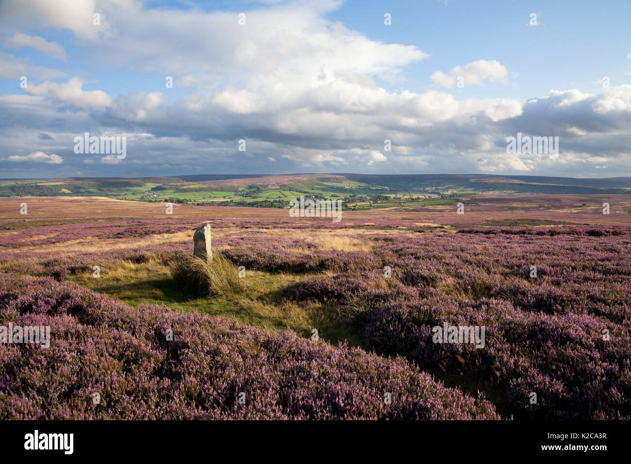 Danby north york moors Banque de photographies et d’images à haute ...