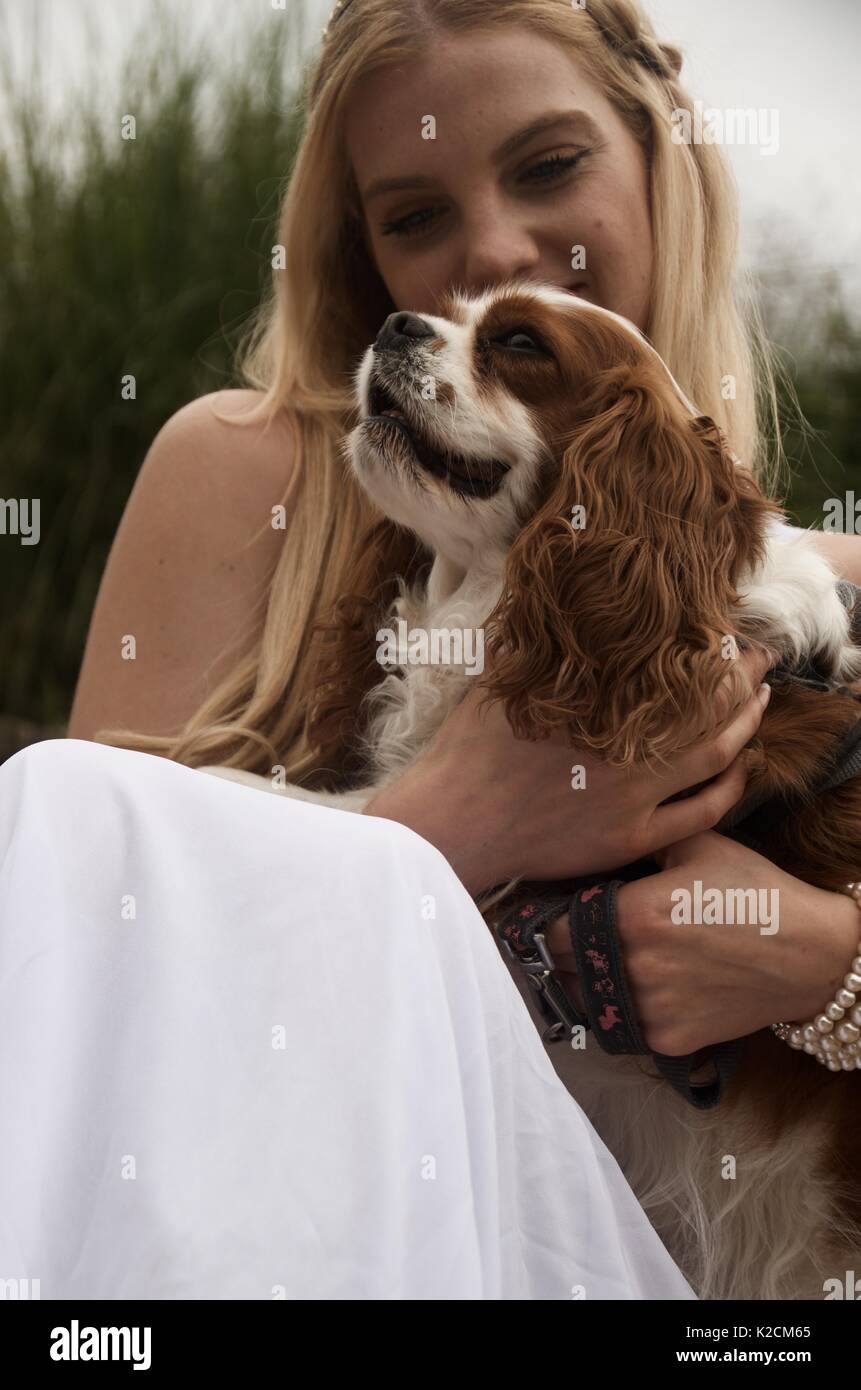 Chien de la mariée Banque de photographies et d’images à haute ...