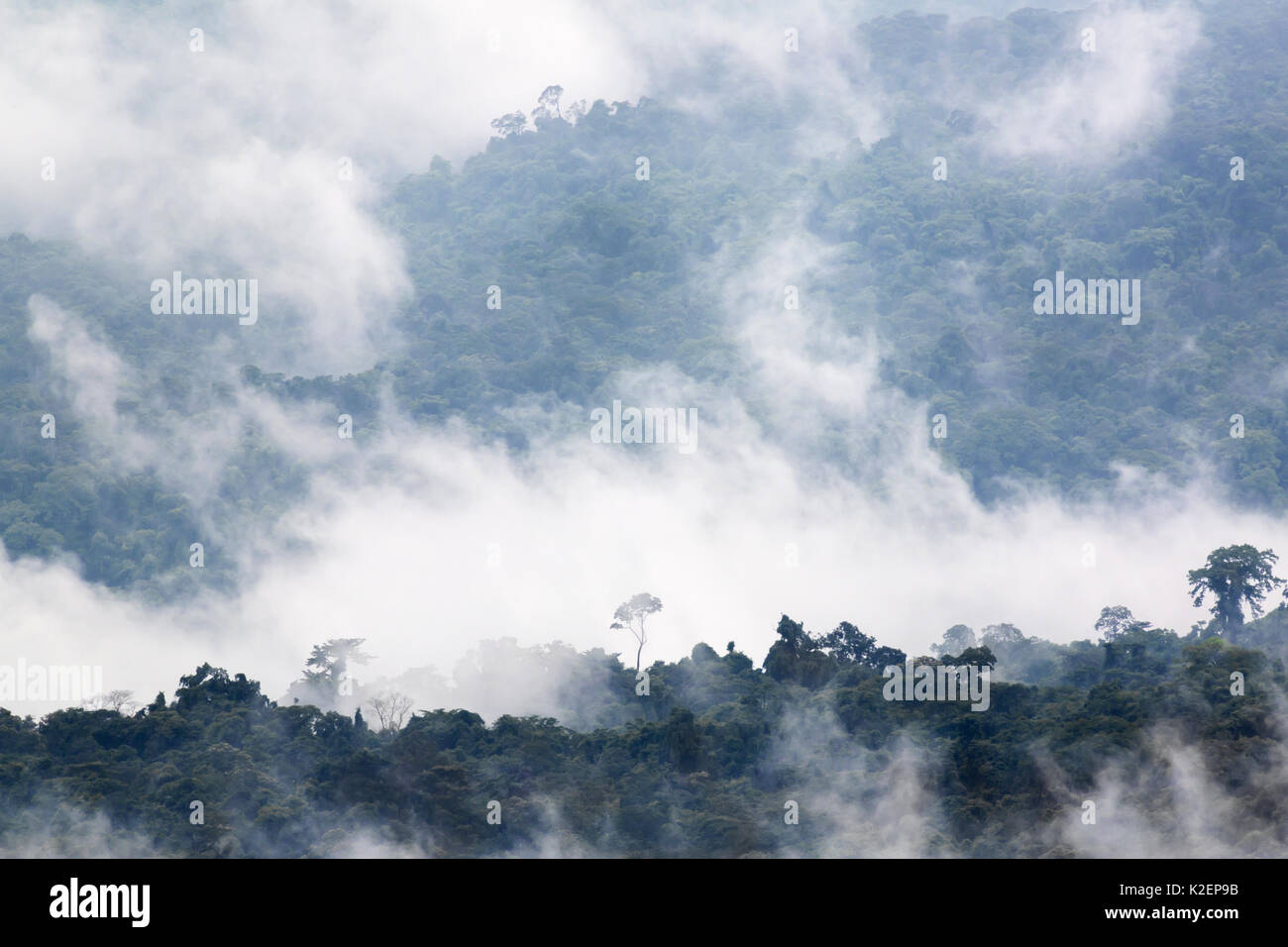 Pang sida national park Banque de photographies et d’images à haute ...