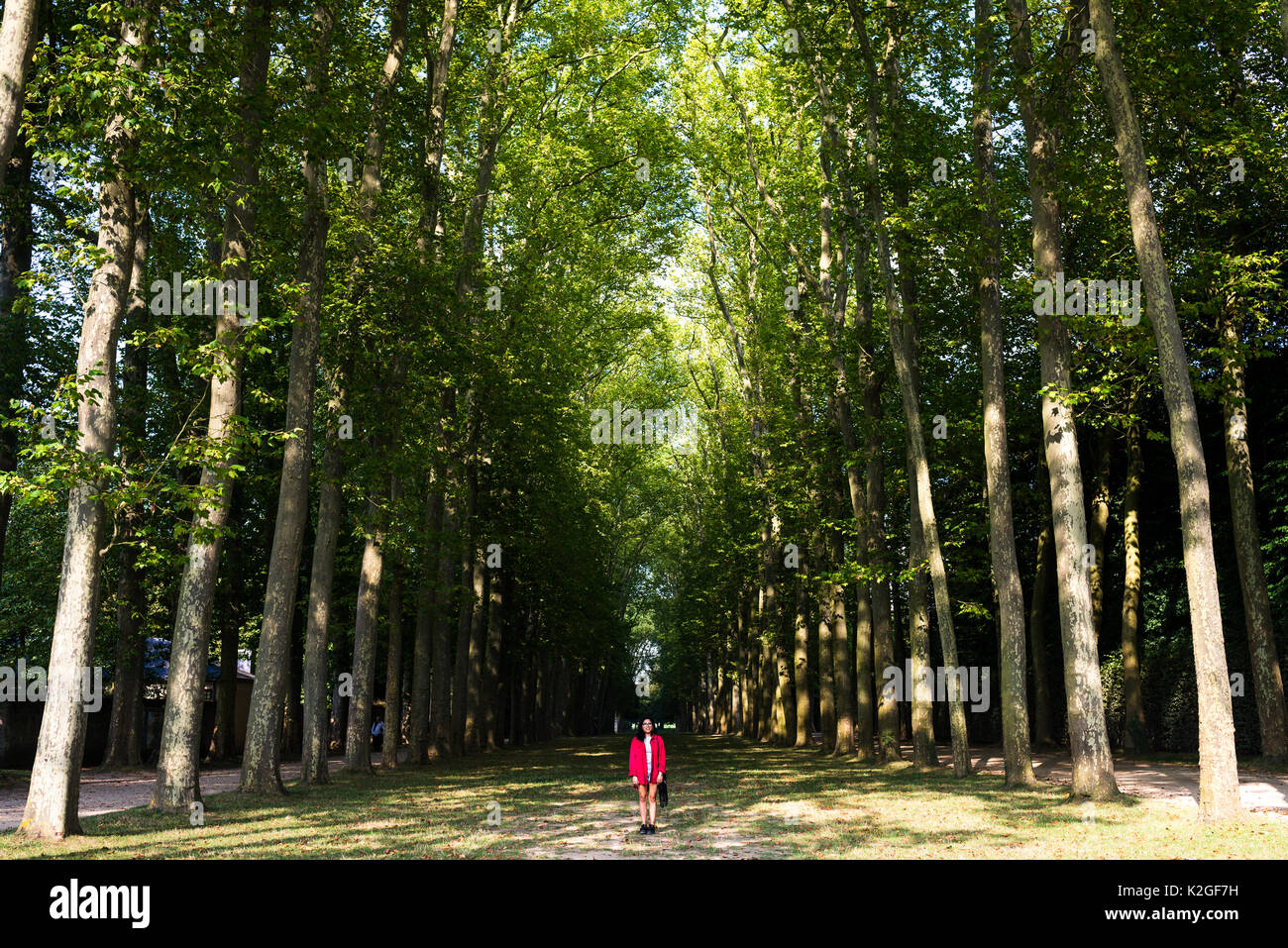 Paris urban forest Banque de photographies et d’images à haute ...