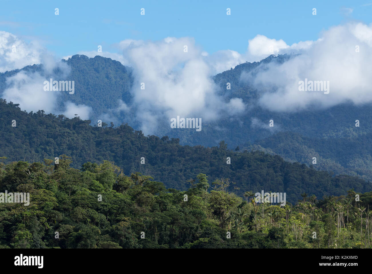 Tena ecuador Banque de photographies et d’images à haute résolution - Alamy