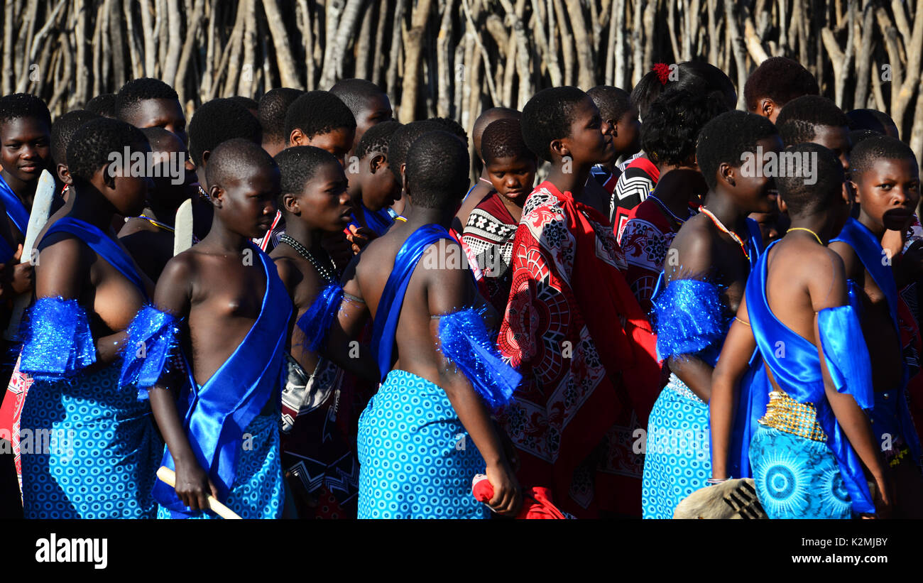 Umhlanga reed dance Banque de photographies et d’images à haute ...