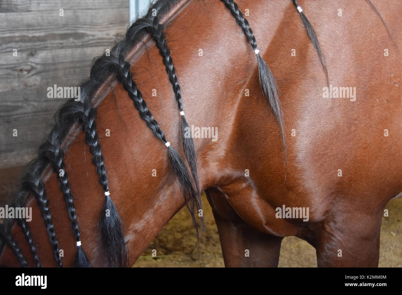 Crinière de cheval tressée Banque de photographies et d’images à haute ...