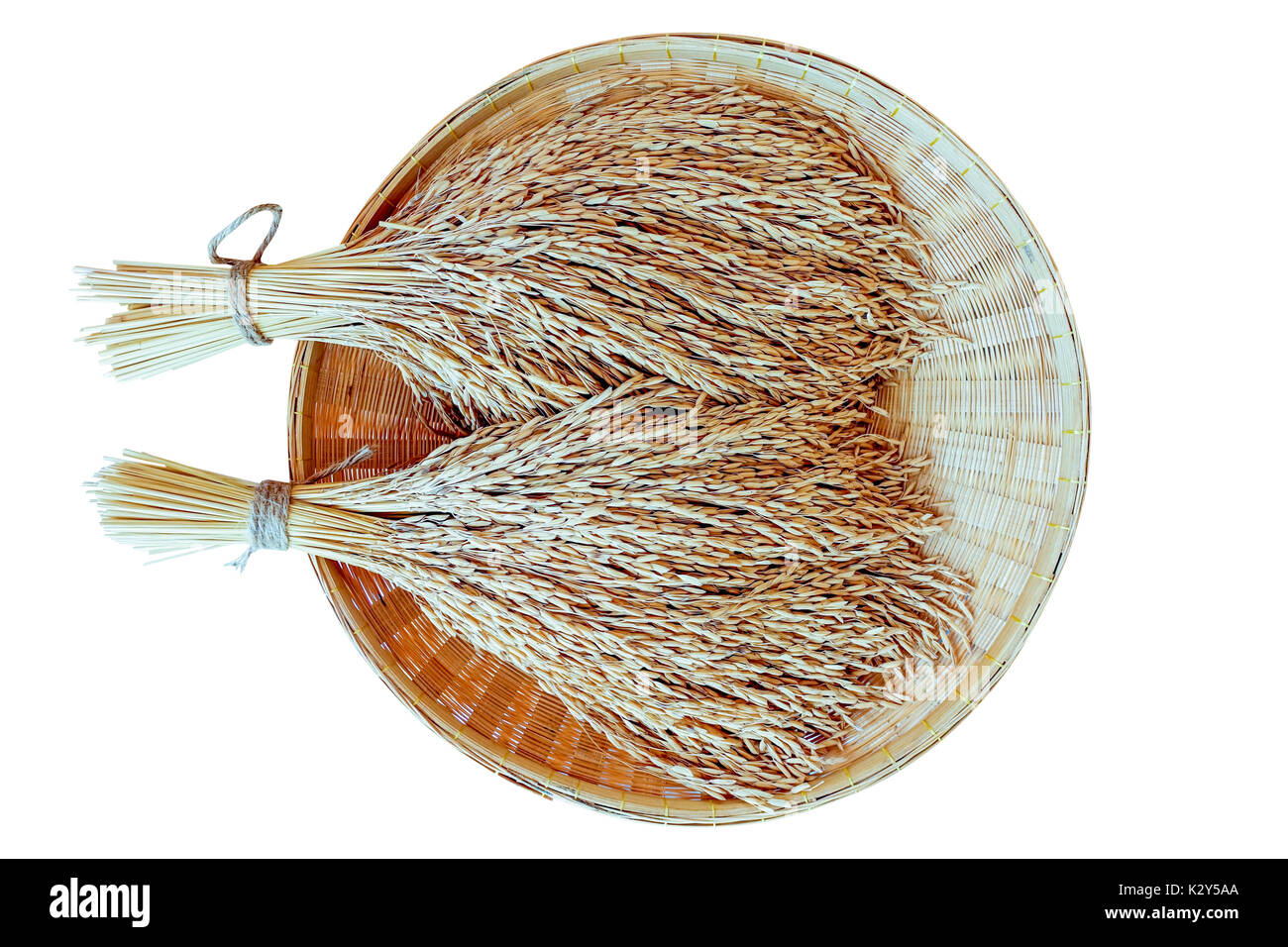 Le riz paddy sur panier de bambou. Des épis de riz paddy - isolated on ...