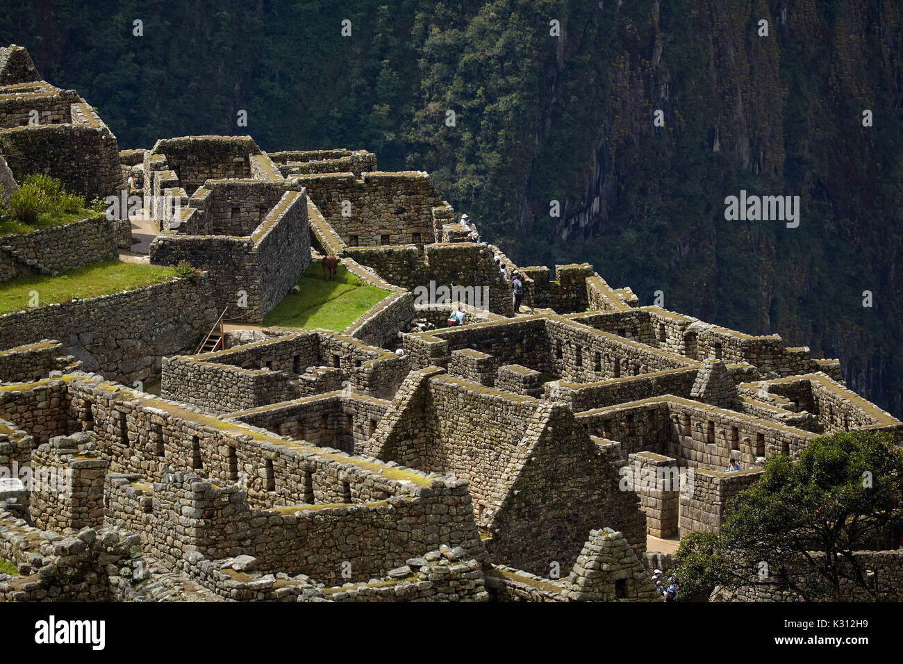 Maisons à Machu Picchu 15e siècle ruines Incas (Site du patrimoine ...