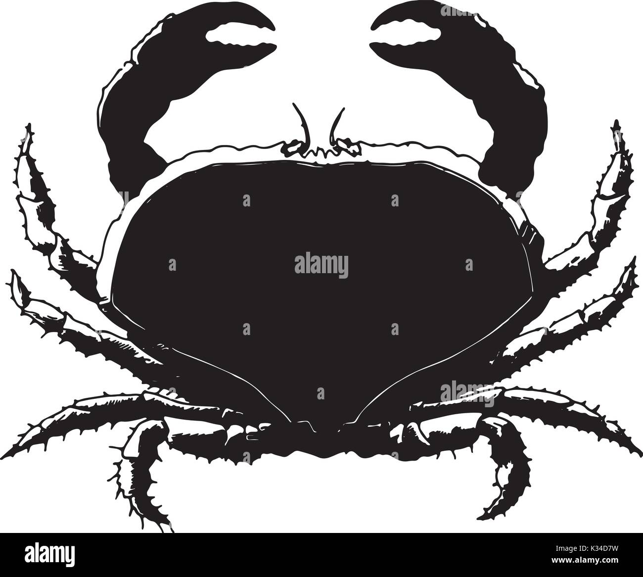 Silhouette de crabe Banque de photographies et d’images à haute ...