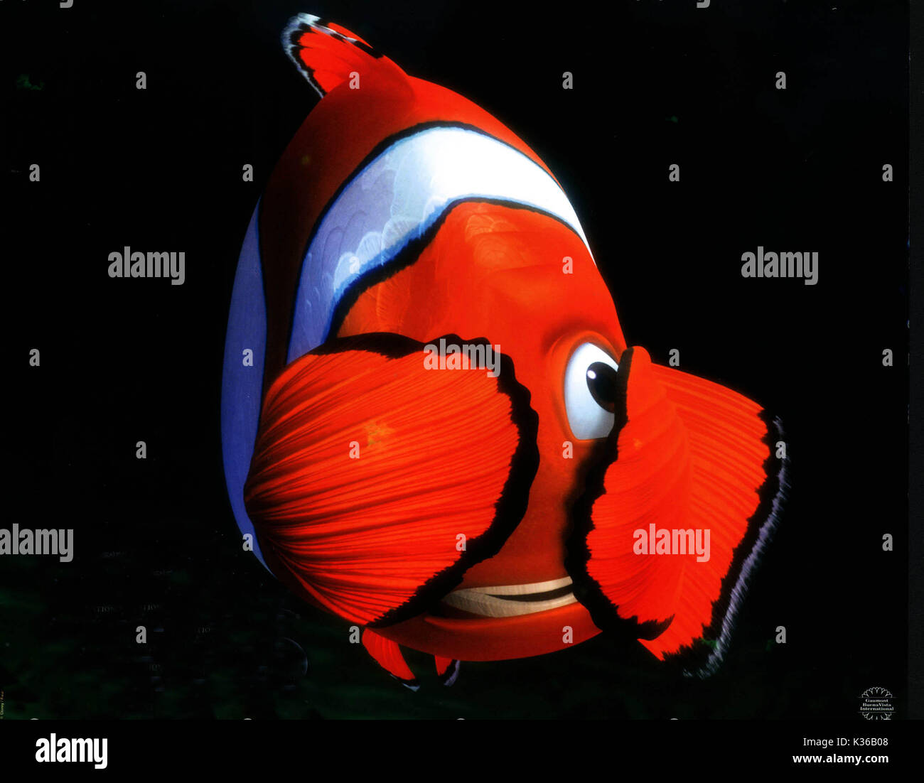 Finding nemo marlin Banque de photographies et d’images à haute ...