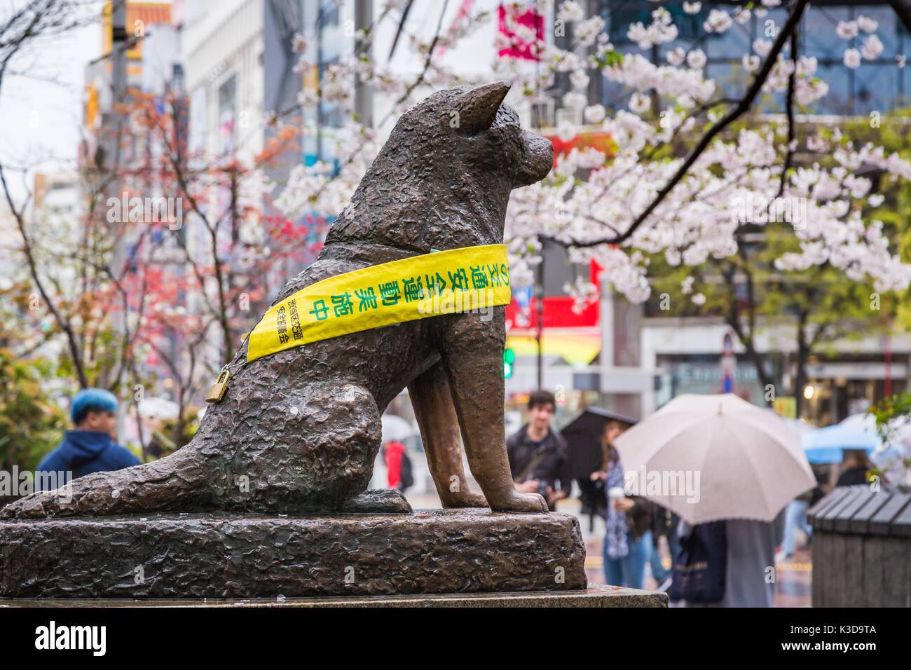 Shibuya Hachiko Banque d'image et photos - Alamy