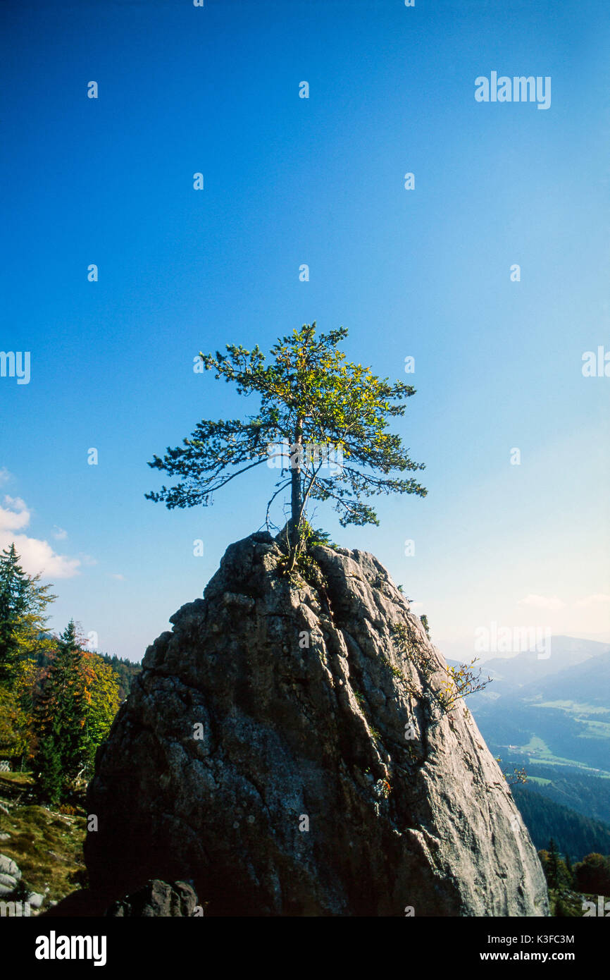De plus en plus sur un rocher Banque de photographies et d’images à ...
