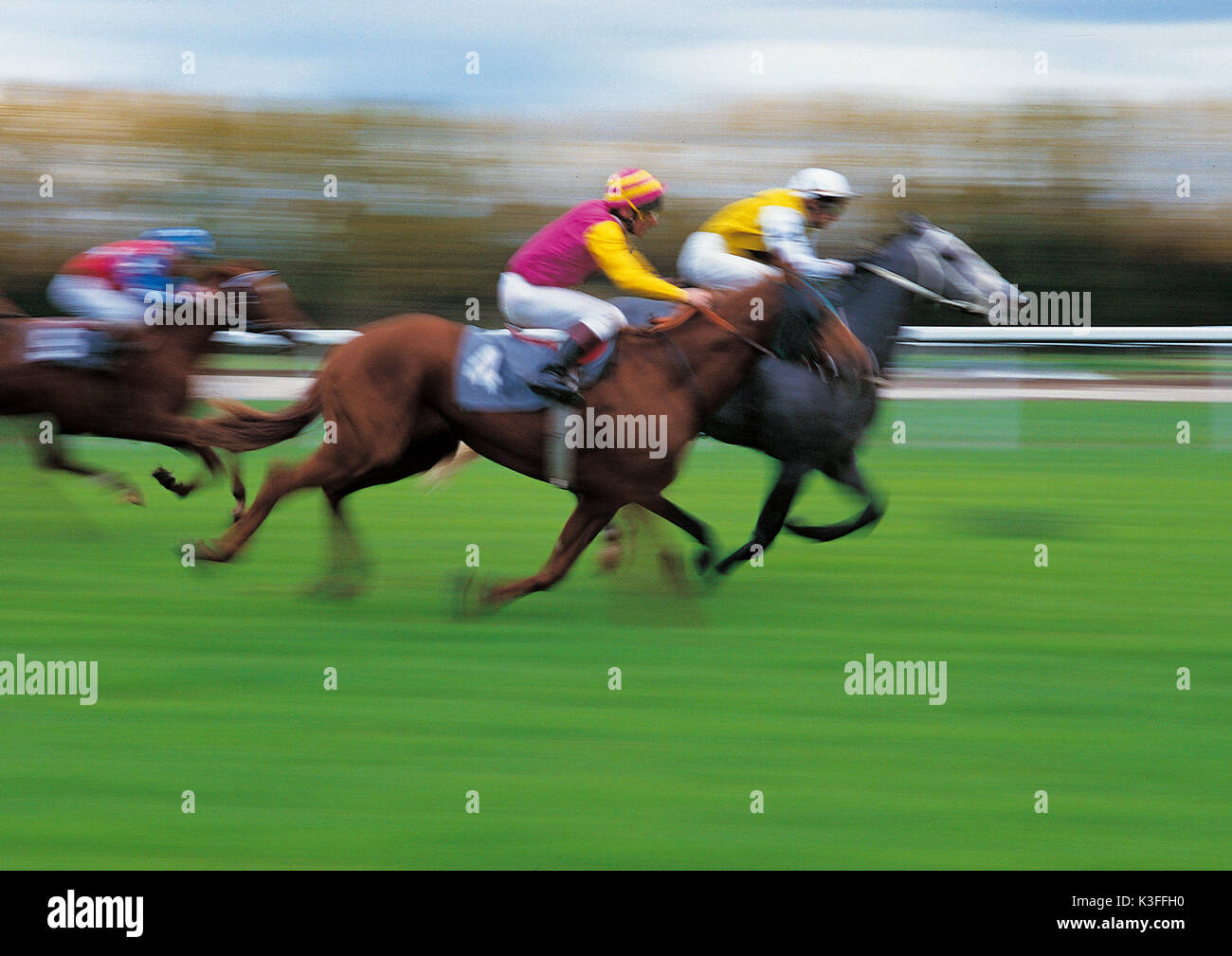 Cheval de course Banque de photographies et d’images à haute résolution ...