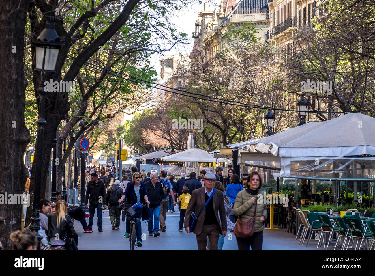 Vue sur la Rambla Catalunya, Barcelone, Catalogne, Espagne Photo Stock ...