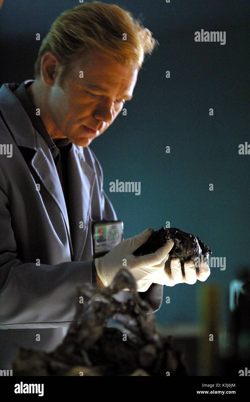 Horatio caine Banque de photographies et d’images à haute résolution ...