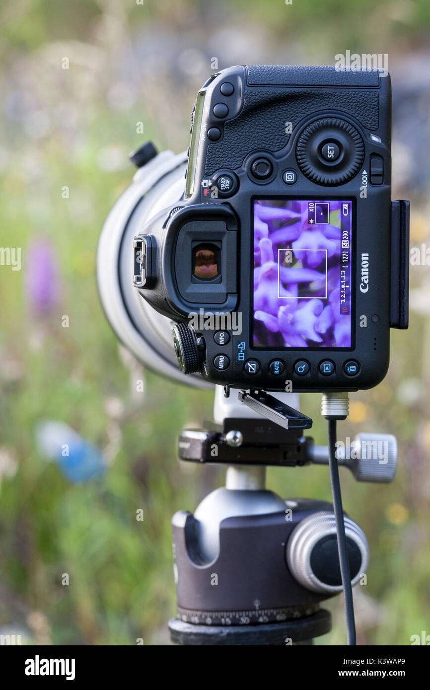 Live view camera canon Banque de photographies et d’images à haute ...
