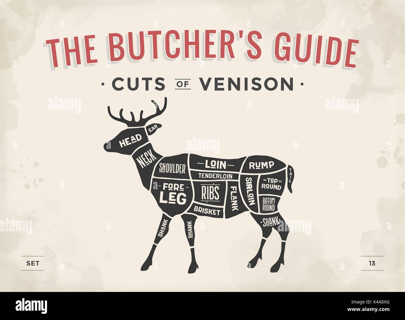 Coupe de viande. Poster Butcher diagramme, schéma - chevreuil Image ...