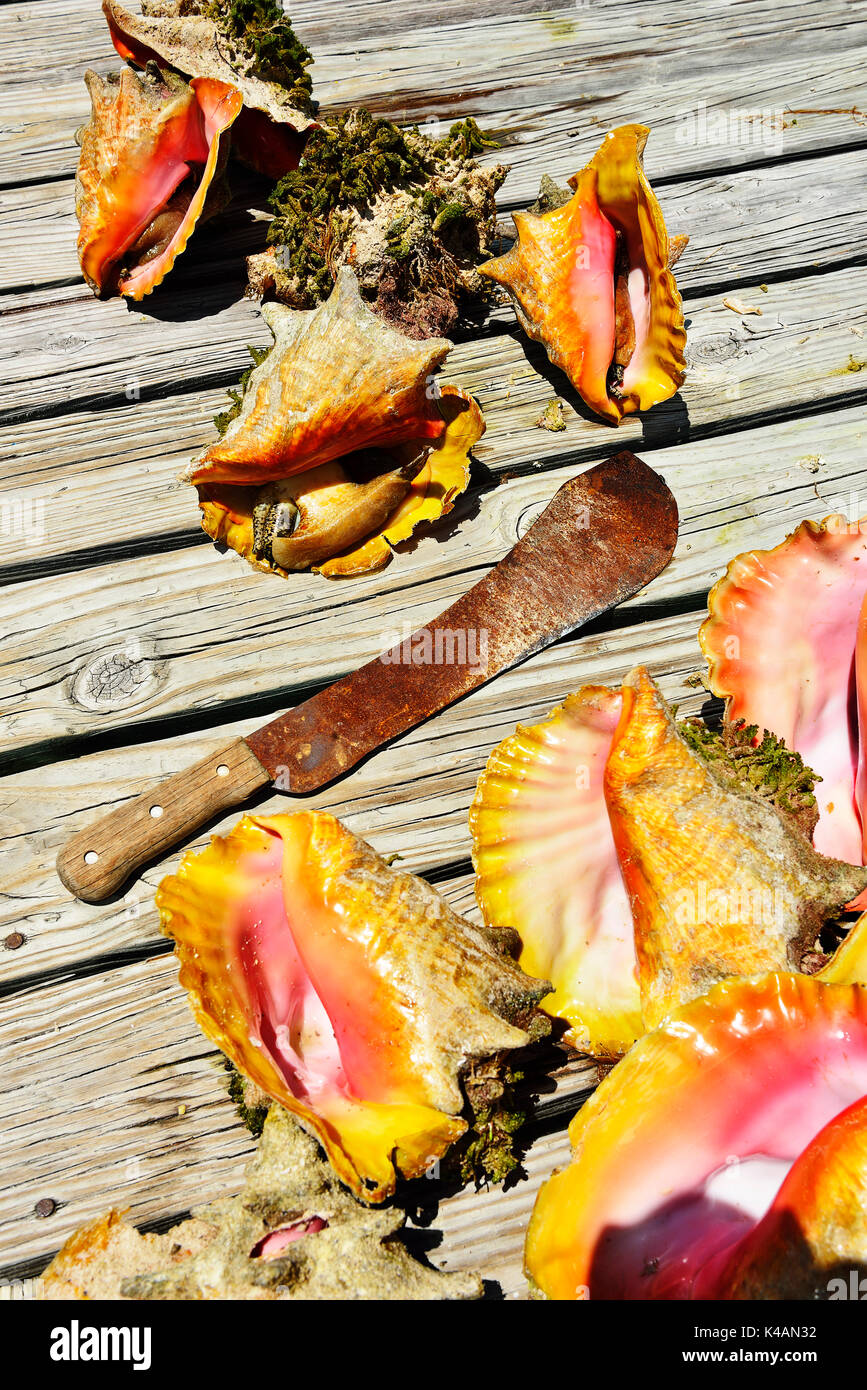 Les abaques Banque de photographies et d’images à haute résolution - Alamy