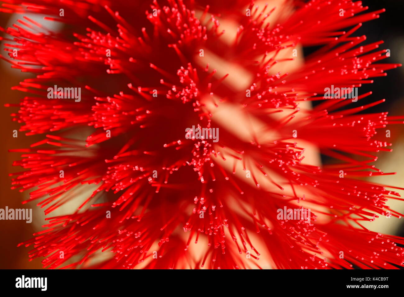 Balai rouge Banque de photographies et d’images à haute résolution - Alamy