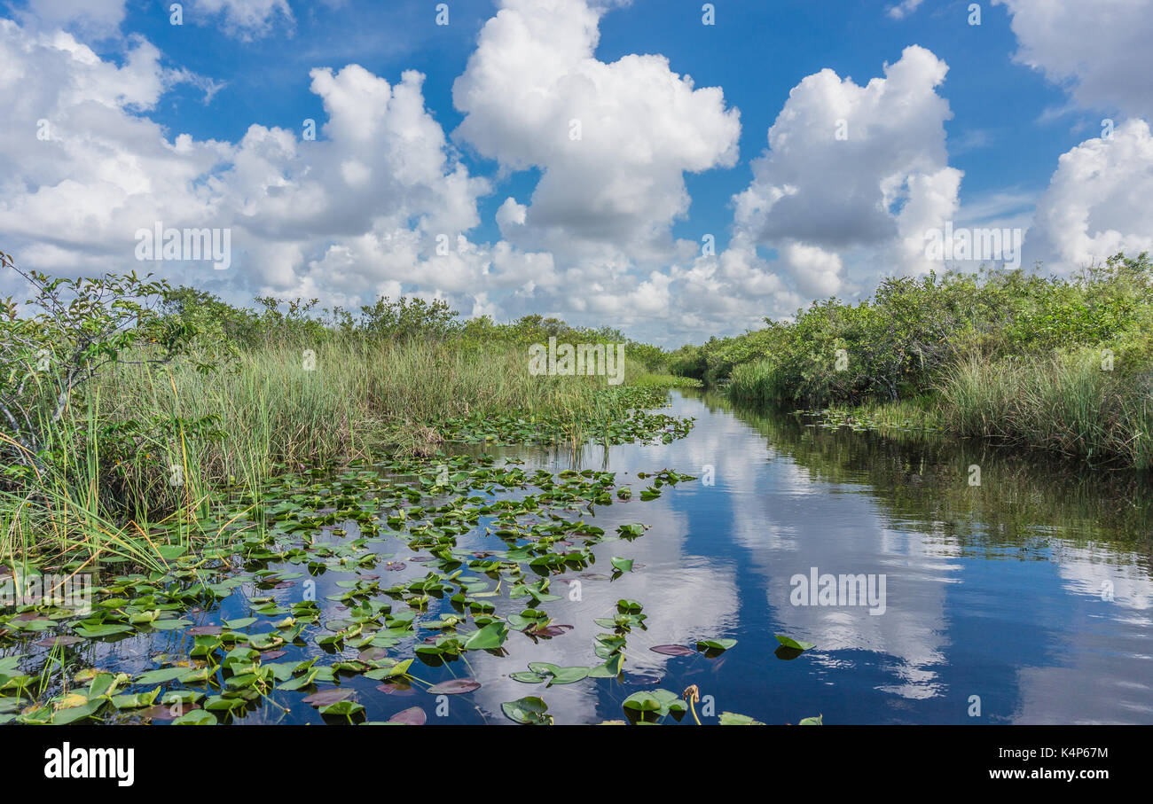 Everglades nationalpark Banque de photographies et d’images à haute ...