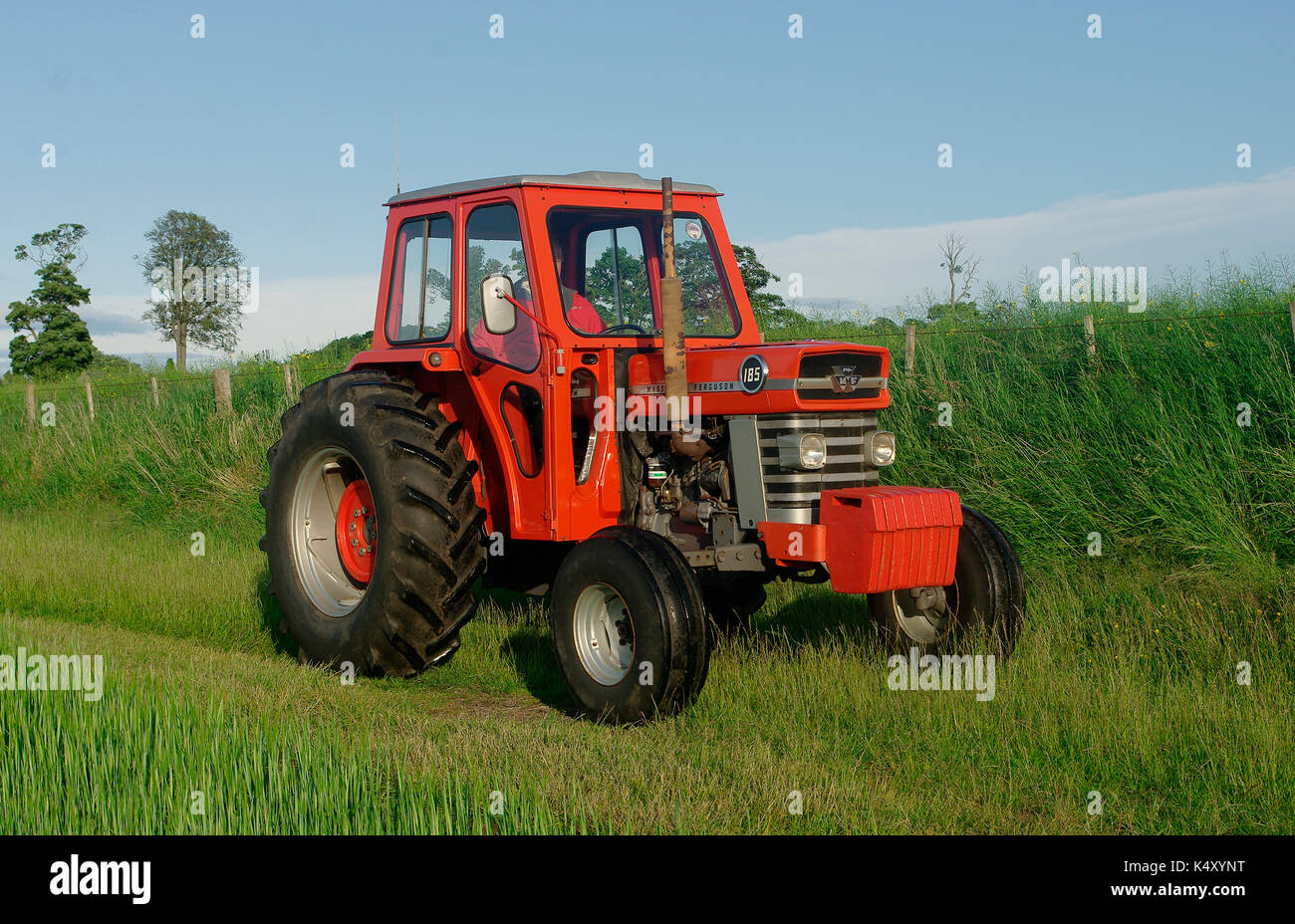 Restored massey ferguson tractor Banque de photographies et d’images à ...