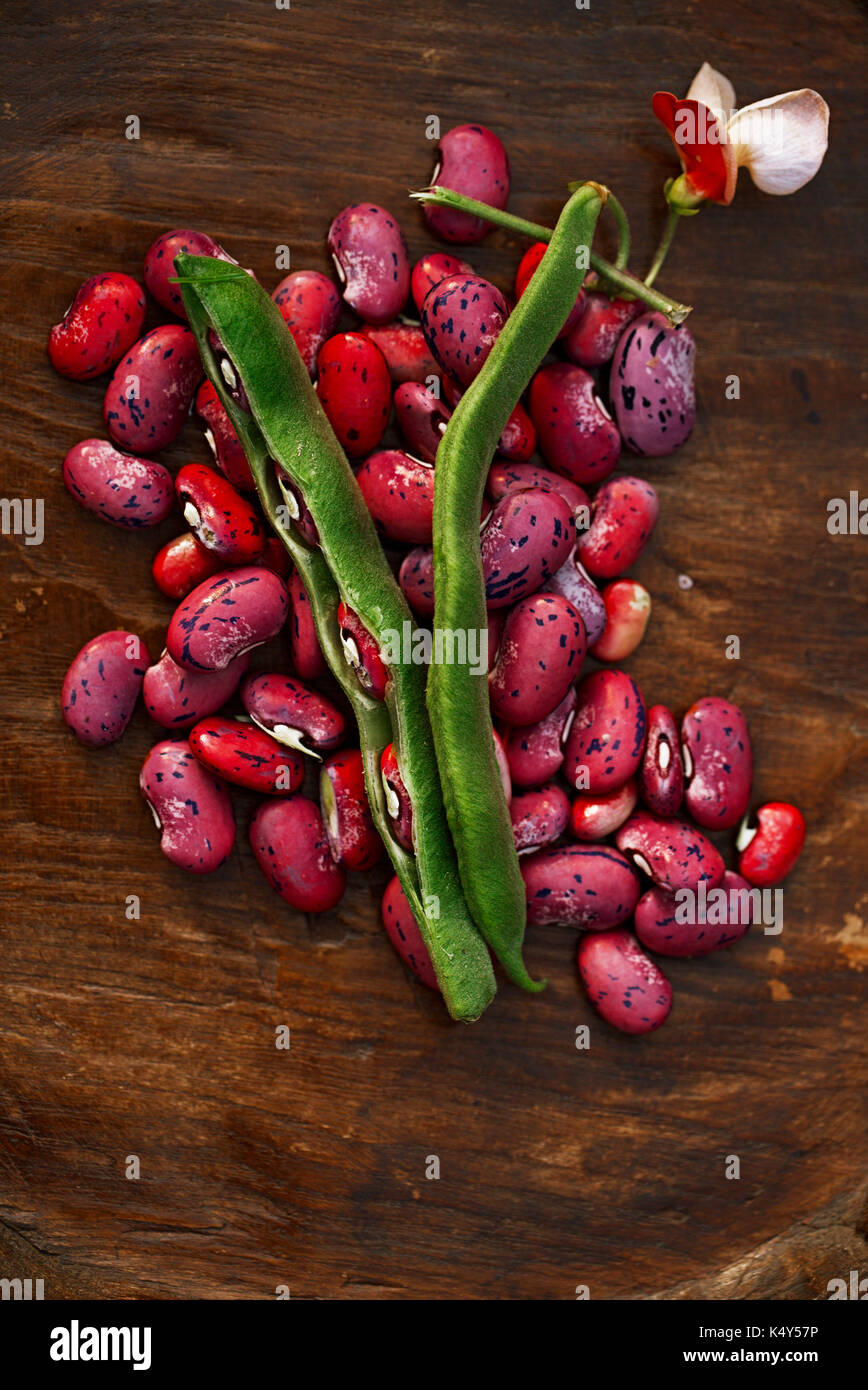 Fleurs De Haricot Rose Banque d'image et photos - Alamy