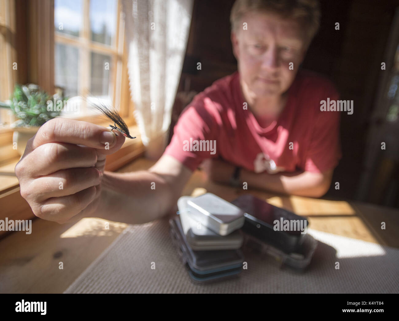 Choisir une mouche Banque de photographies et d’images à haute ...