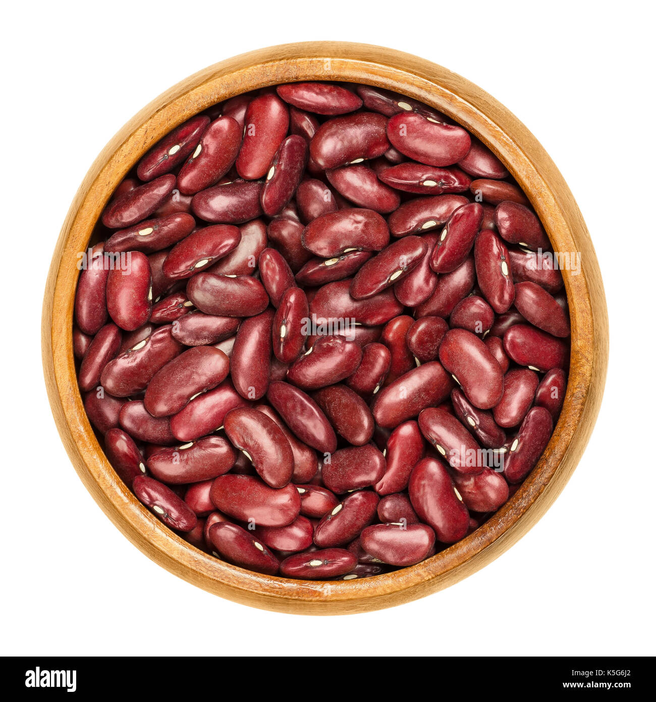 Haricot commun phaseolus vulgaris Banque de photographies et d’images à ...