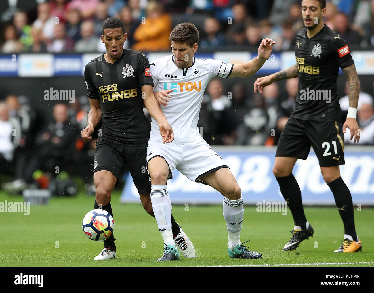 Federico fernandez de newcastle united Banque de photographies et d ...