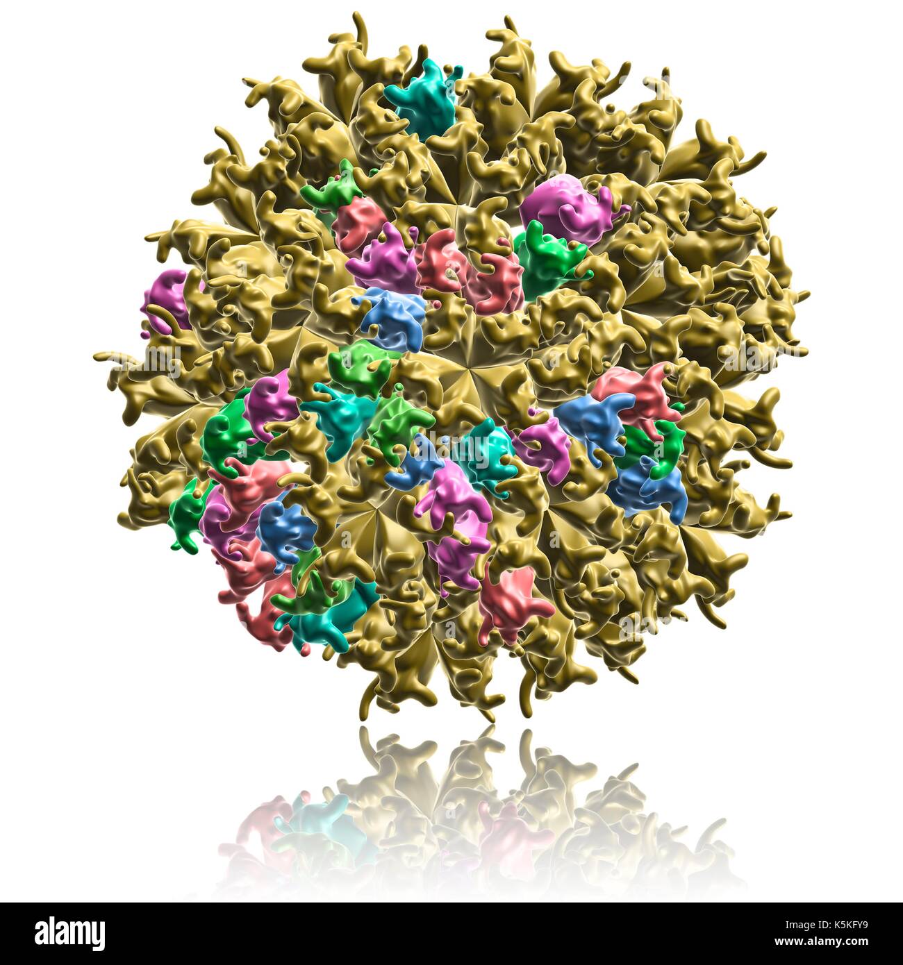 Virus de la mosaïque du concombre Banque de photographies et d’images à ...