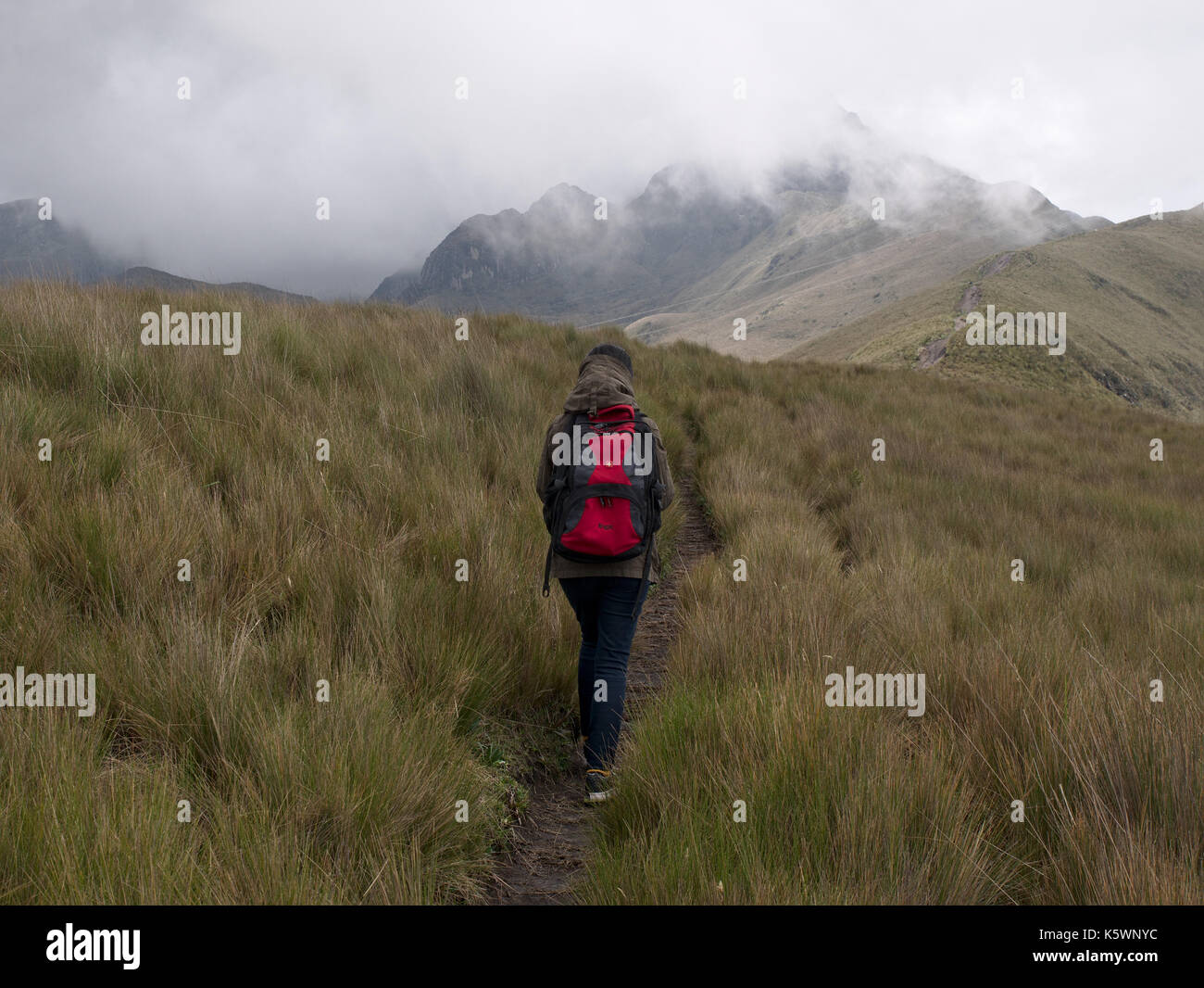 Volcan pichincha Banque de photographies et d’images à haute résolution ...
