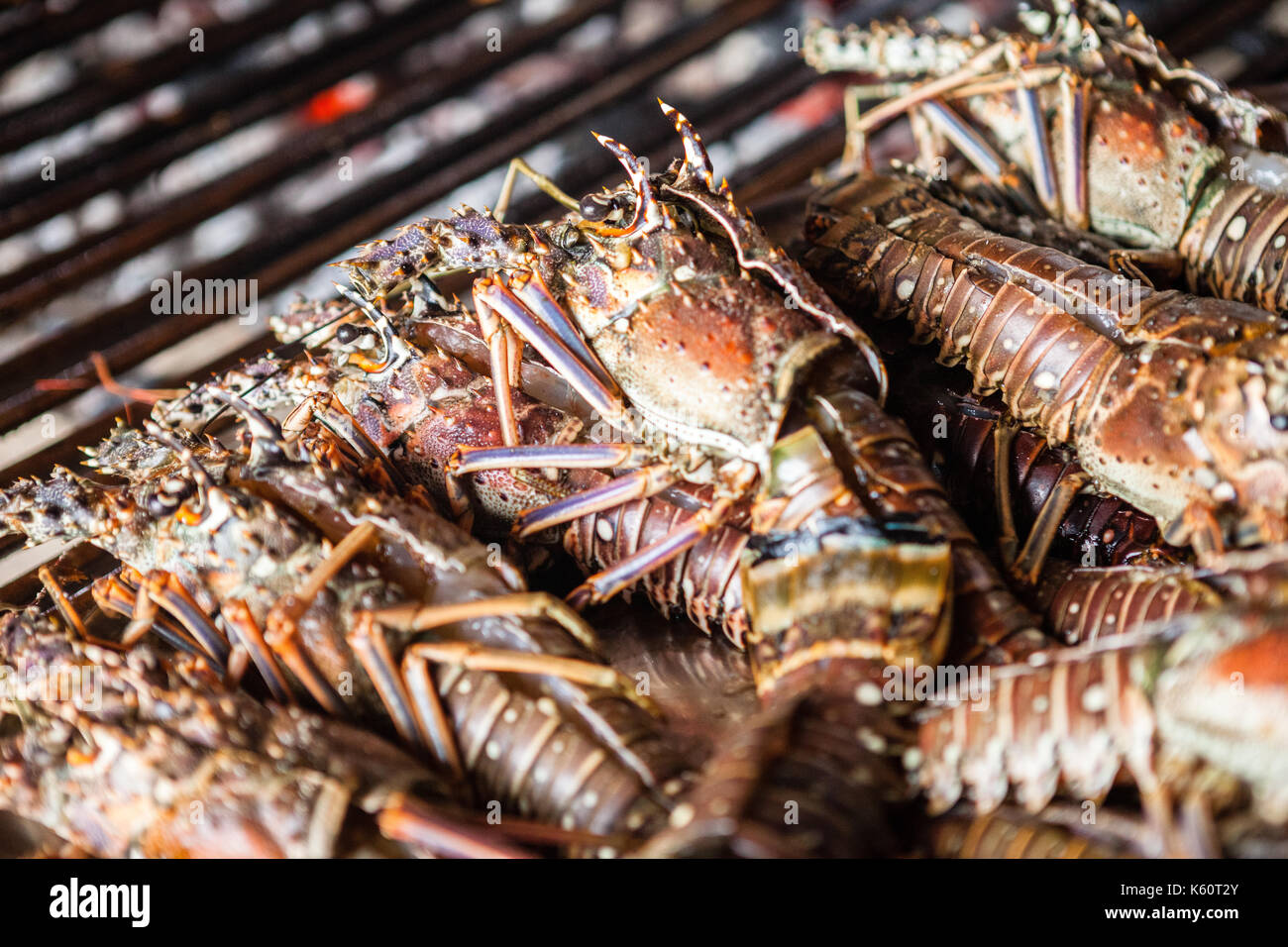 Aliments tropicaux Banque de photographies et d’images à haute ...