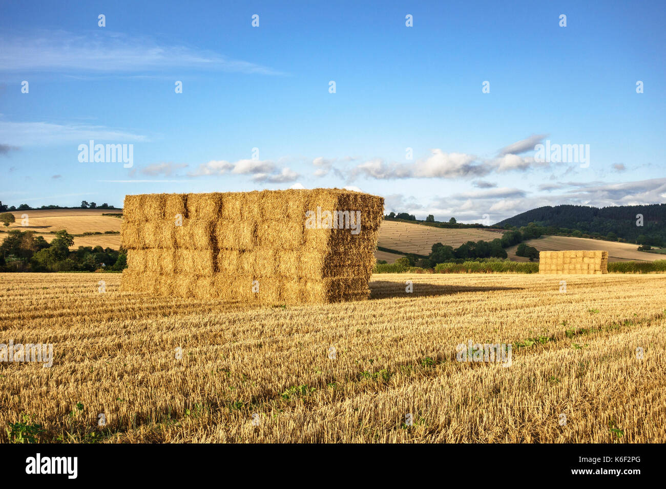 Champs De Chaume Banque d'image et photos - Alamy