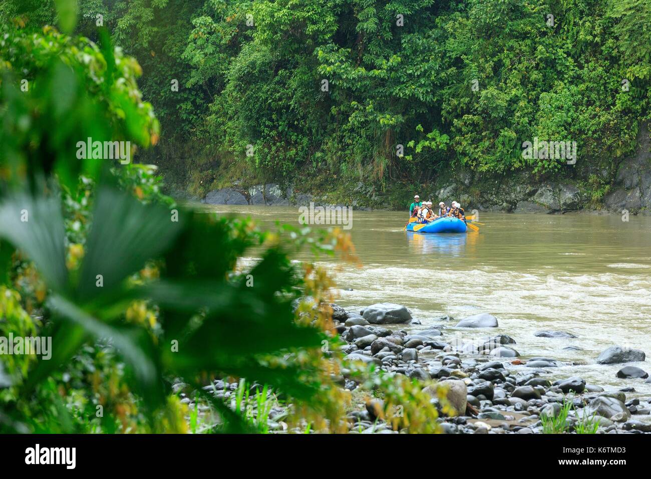Costa Rica, Limon, Limon, province de la vallée Rio Pacuare, Pacuare ...