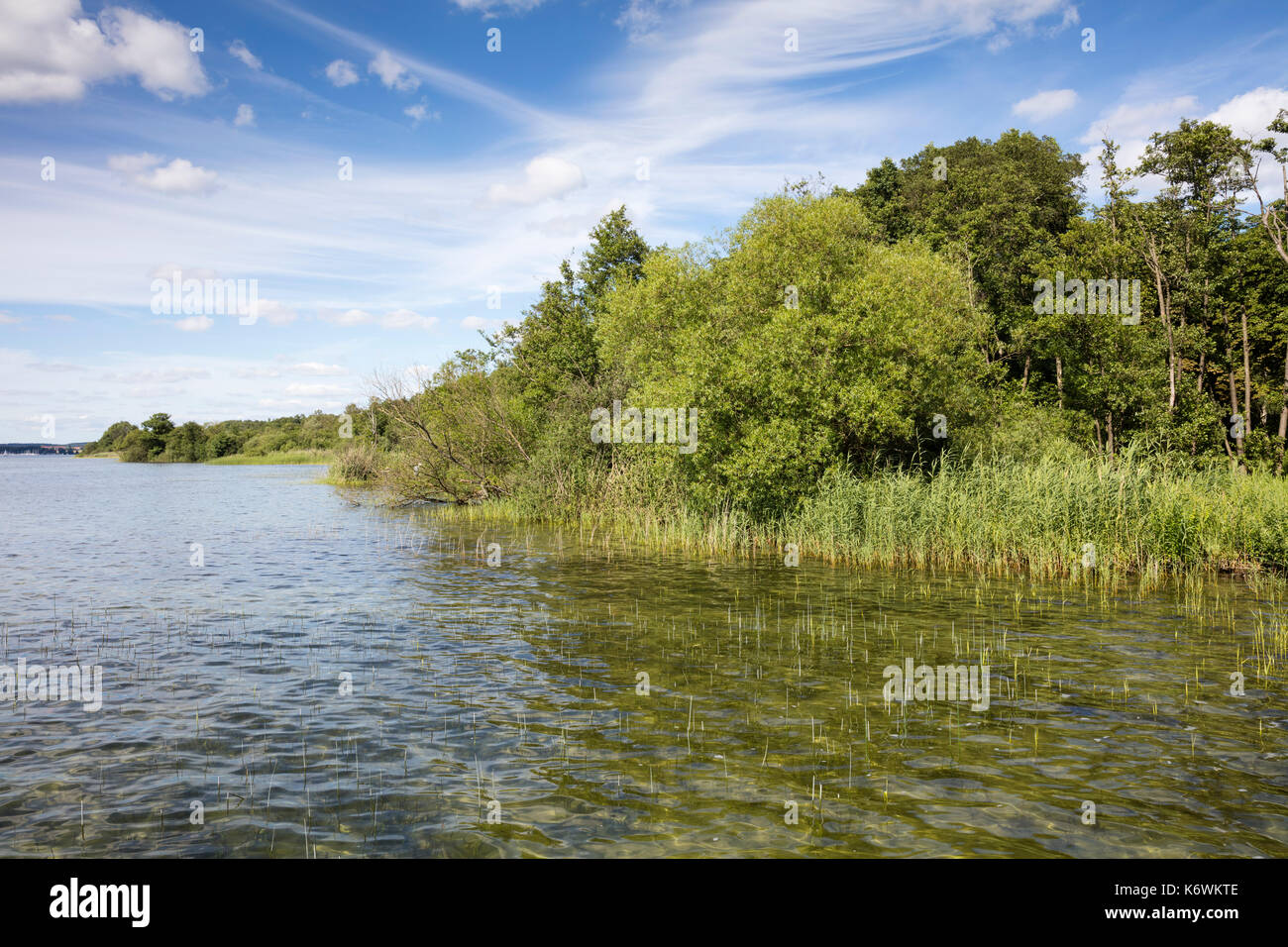 Rive du lac avec des roseaux Banque de photographies et d’images à haute résolution - Alamy